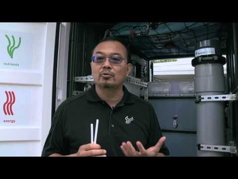 USF's Dr. Daniel Yeh Talks About the NEWgenerator