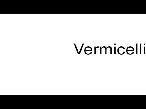 How to pronounce Vermicelli