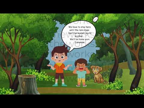 Lost in the Woods