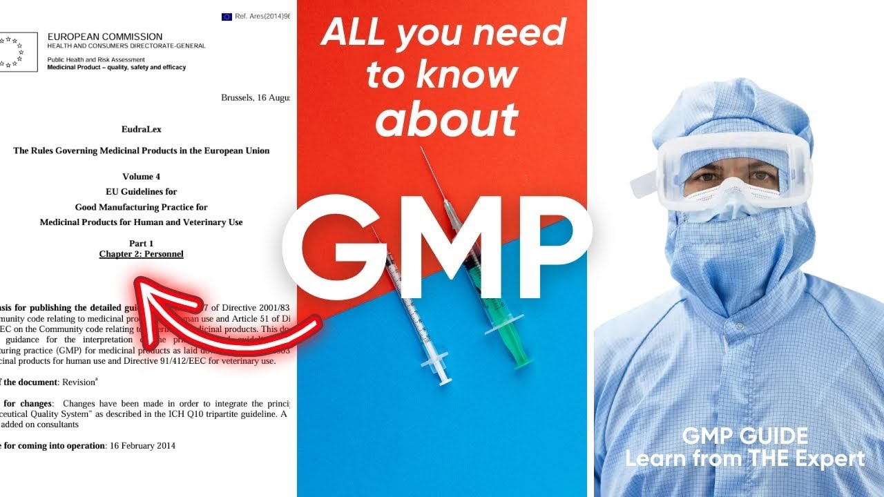 Good Manufacturing Practice | CHAPTER 2 Personnel EXPLAINED | Free GMP 2025