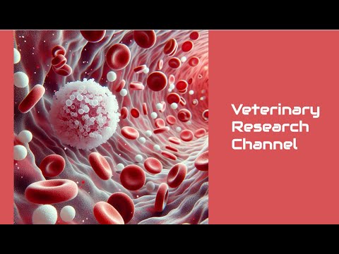 16. Canine Primary Immune Thrombocytopenia : Diagnostic and Prognostic Markers