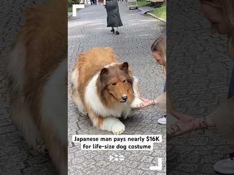Japanese man pays nearly $16K for life-size dog costume