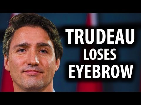 Justin Trudeau gets a new eyebrow after it falls off – The GimpHole