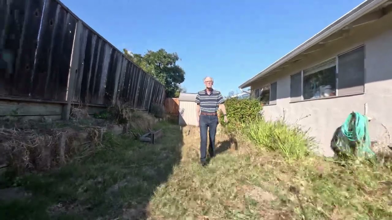 Backyard 4DGS