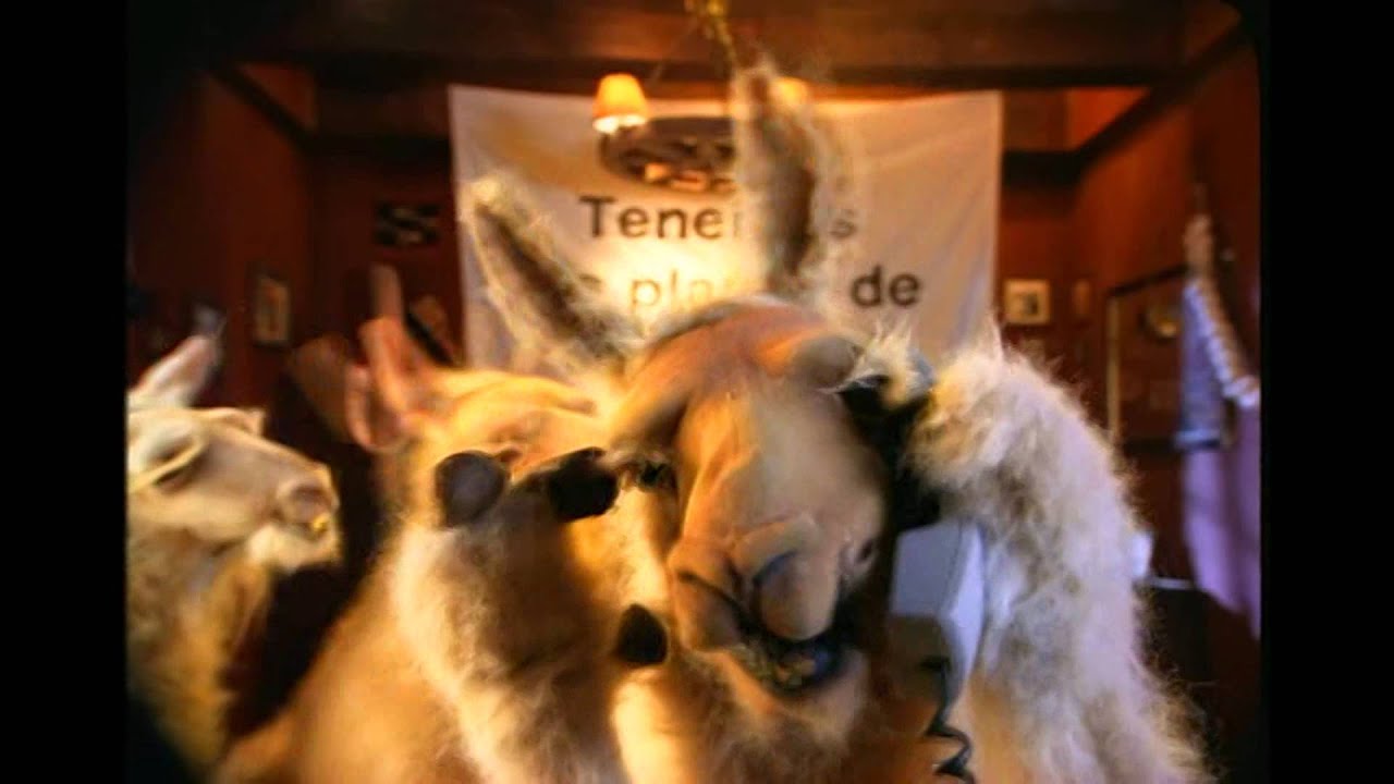 Vuelve la "llama que llama" pero en formato de NFT