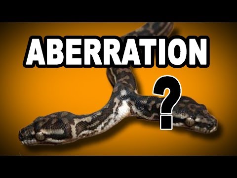 Learn English Words: ABERRATION - Meaning, Vocabulary with Pictures and Examples