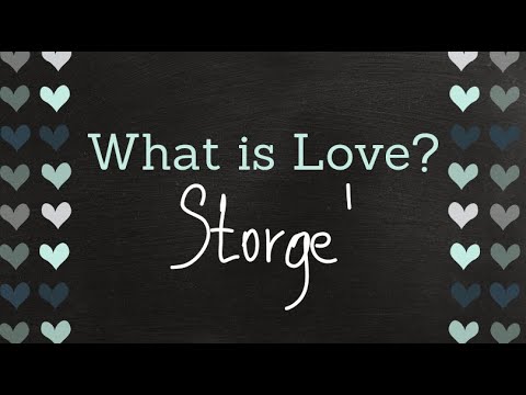 What is Love Storge'