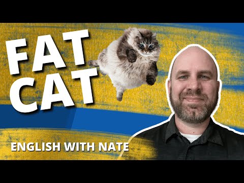 Fat Cat Meaning (English Idiom)