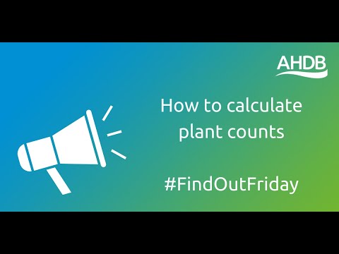 How to calculate plant counts