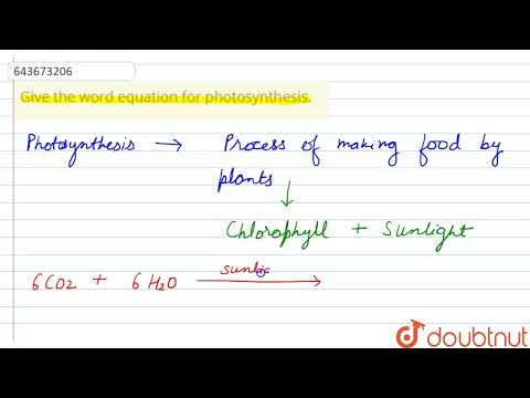 Give the word equation for photosynthesis. | 7 | PLANT LIFE | BIOLOGY | ICSE | Doubtnut