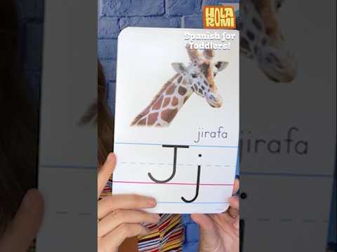 Osos, elefantes, y jirafas! Learn Spanish with Romi! The funny thing about Giraffe/Jirafa…