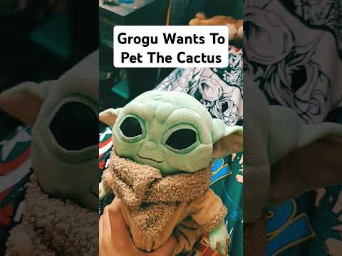 Can Grogu Pet That Dog? #memes #2024 #comedy #funny #facebook #meme #grogu #plushies #crudehumor #oh