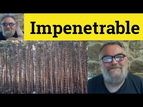 😎 Impenetrable Meaning - Impenetrable Defined - Impenetrable Examples - Impenetrable