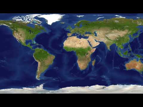 Yellow Butterfly (ft. Bree Leto) Song + Lyrics (by Cassa Bassa ...