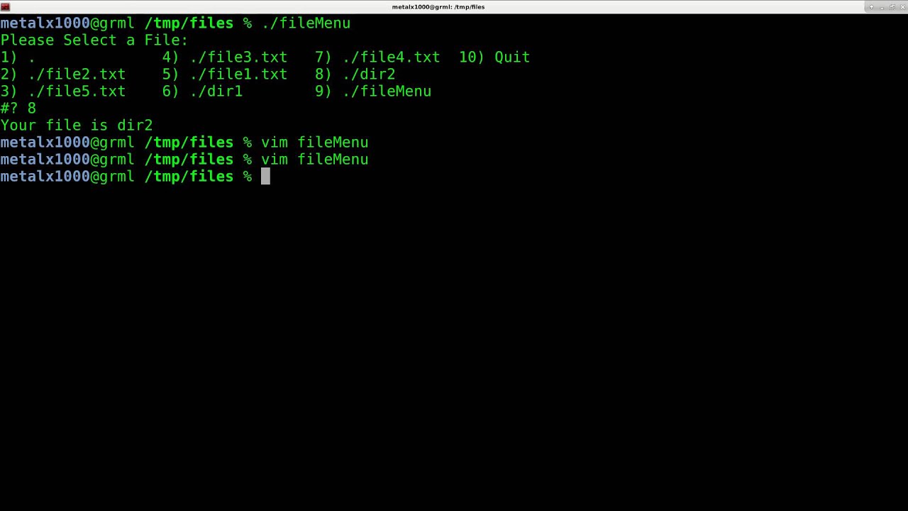 Custom File Selector in a Linux Shell Script tutorial Part 2