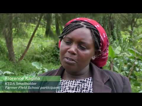 Unilever & IDH: 10 years of partnership | Unilever