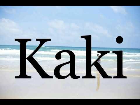 How To Pronounce Kaki🌈🌈🌈🌈🌈🌈Pronunciation Of Kaki