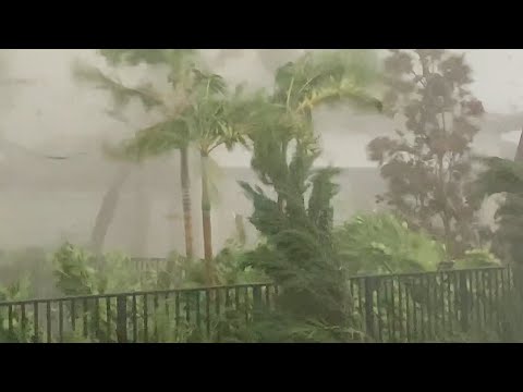 "Oh my god!" | Watch the moment a tornado rips through a Florida backyard during Hurricane Milton