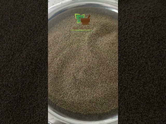 Ajwain Seeds - Omam Seeds (Ajwain) Wholesale Trader from Hyderabad