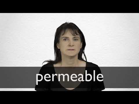 PERMEABLE definition and meaning | Collins English Dictionary