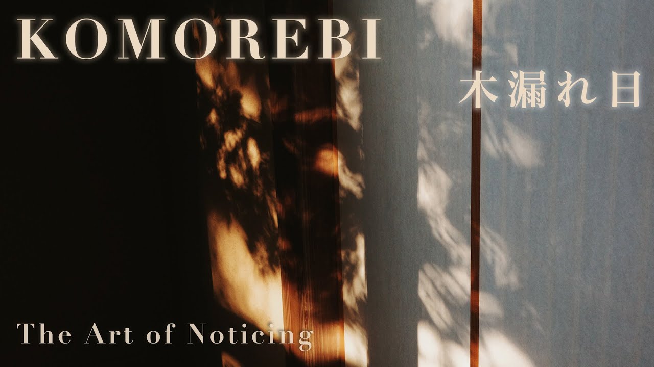 The Beauty of Komorebi: How the Japanese See Dappled Light
