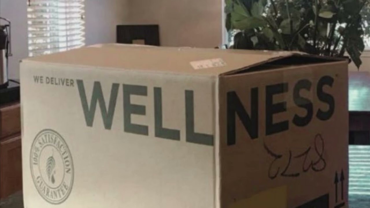 The Wellness Company introduction