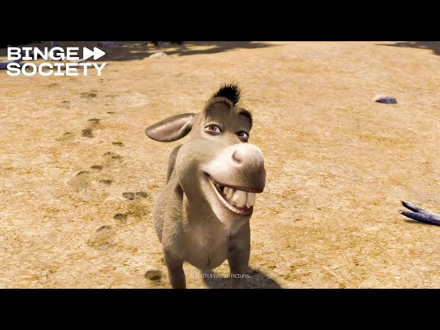 Burro tendrá su propia película: lo que sabemos hasta ahora