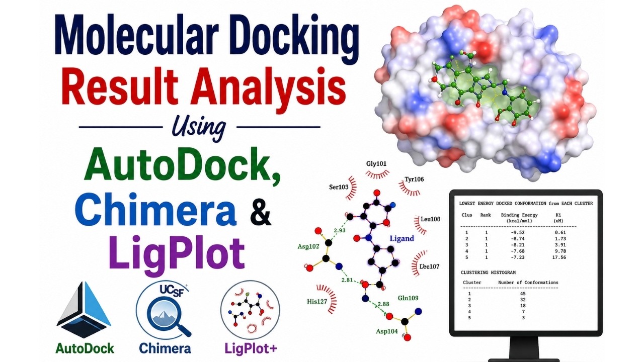 Molecular Docking Result Analysis Using AutoDock, Chimera & LigPlot