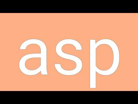 Asp Definition & Meaning