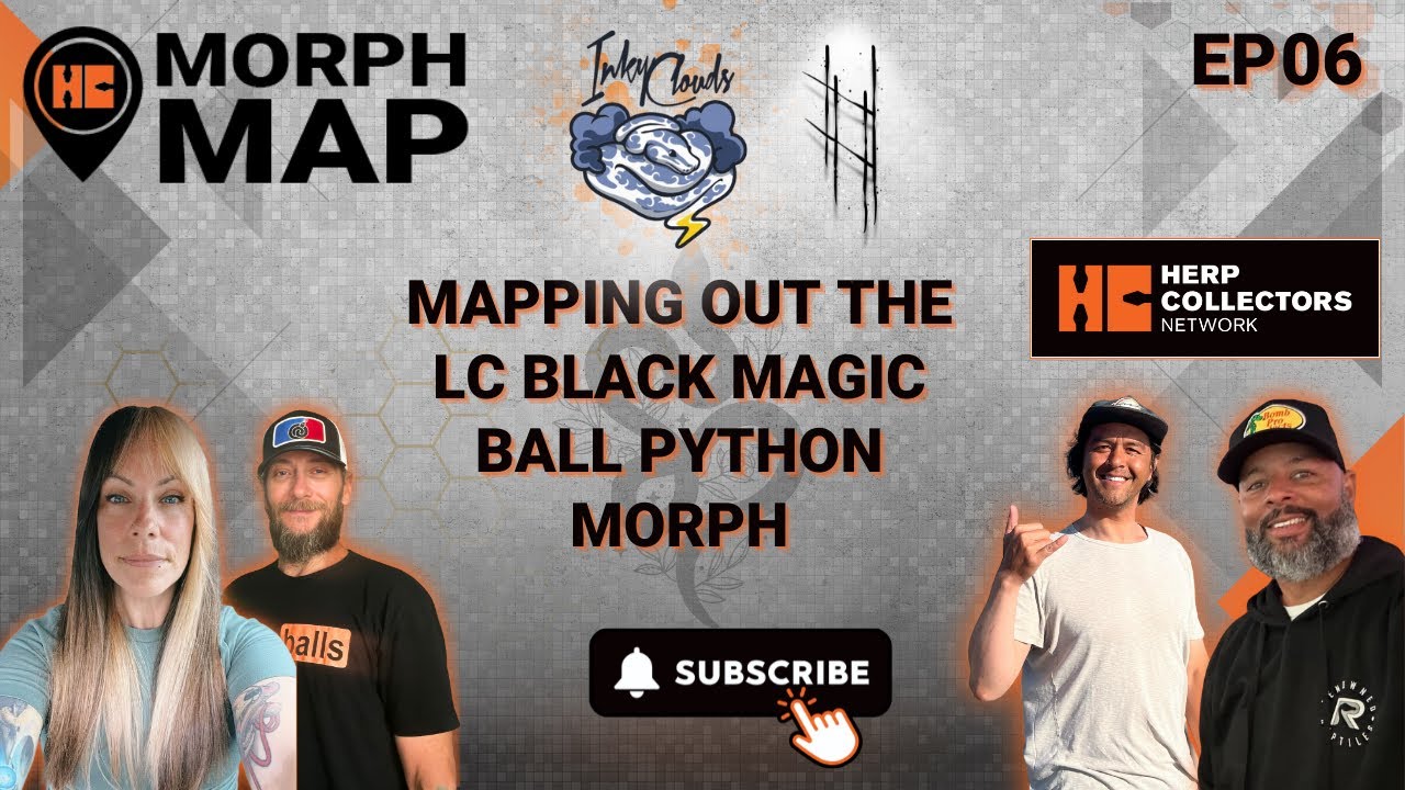 EP06 – Mapping Out the LC Black Magic Ball Python Morph