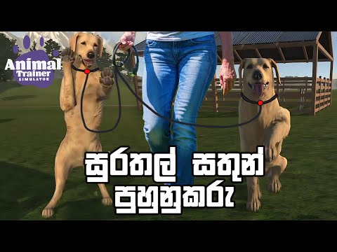 Steam Community :: Video :: සුරතල් සතුන් පුහුනුකරු | Animal Trainer Simulator