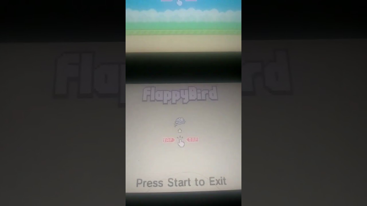 Flappy Bird on 3DS! #3ds #nintendo #foryou #fypageシ #viral #trending #fypシ  #fyp #foryoupage
