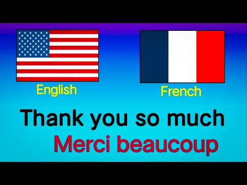 20 basic english sentence speaking. English to French translation @Engtospan29