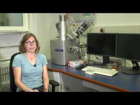 Madleen Grohganz: Deep time migration mystery