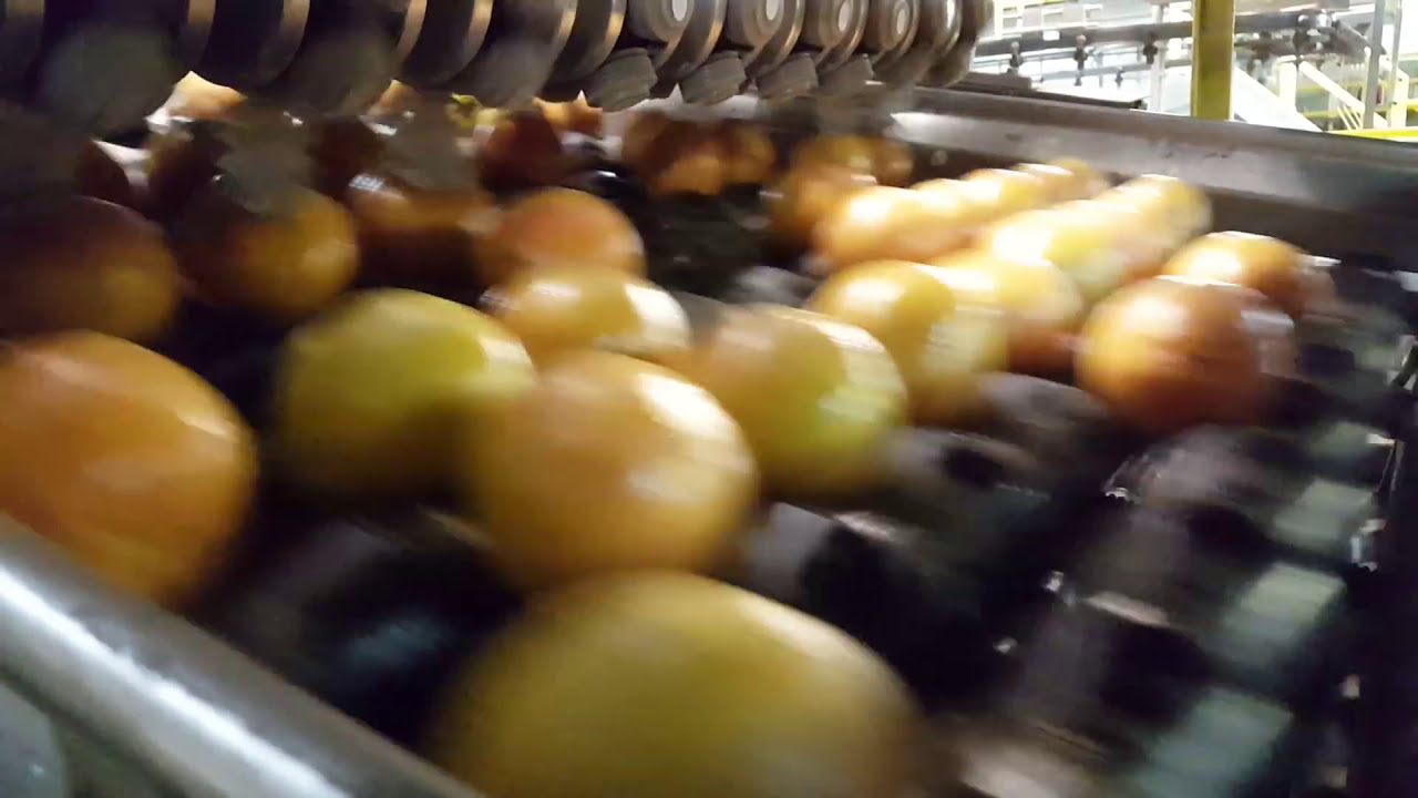 Accu-Label ORB-it® Print & Apply™ High Speed Label Applicator