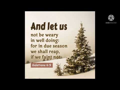 Bible Verse - Day 76 - GALATIANS 6:9 KJV