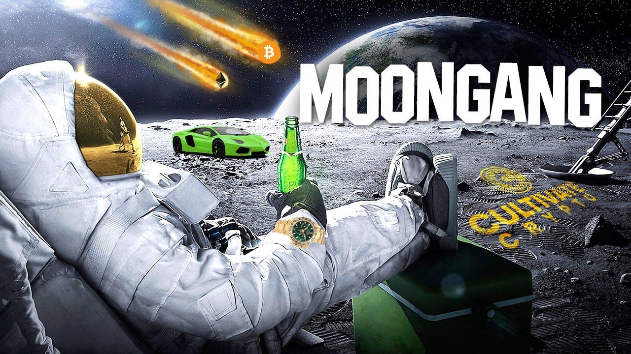 MOONGANG  #211  BULL RUN IN A BEAR MARKET