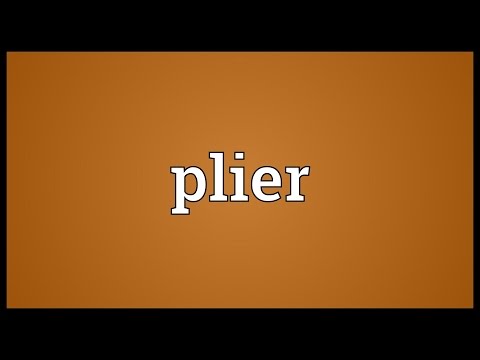 Plier Meaning