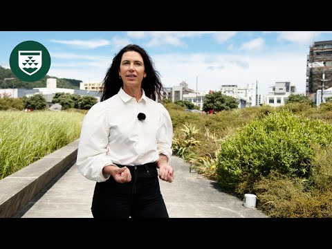 What do Landscape Architects do?