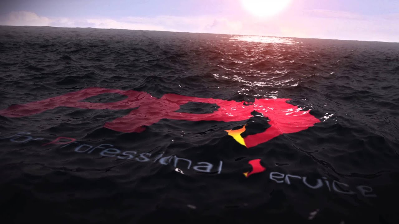 PPS LOGO INTRODUCING