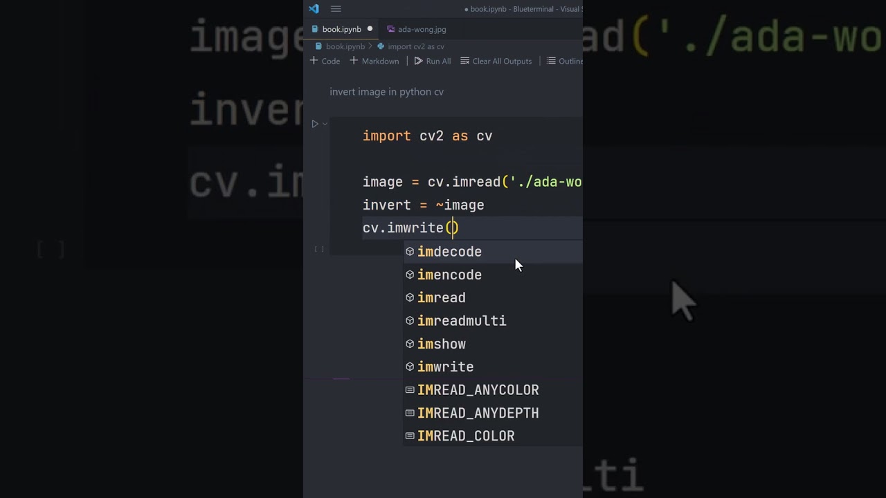 Invert image color in python cv #shorts #programming #coding #python