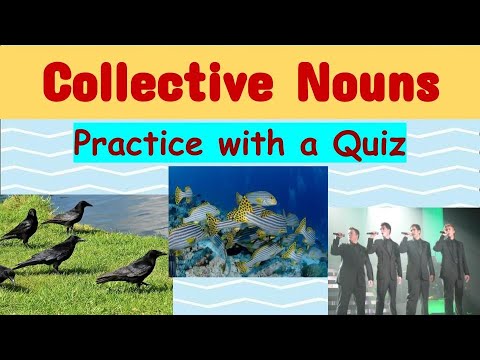 What are Collective Nouns? | Definition with Examples | QUIZ | #SVADHYAYA