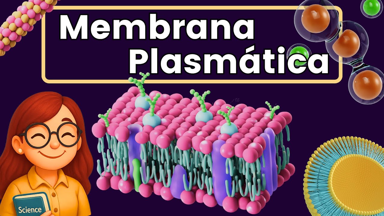 Cell Membrane 🦠