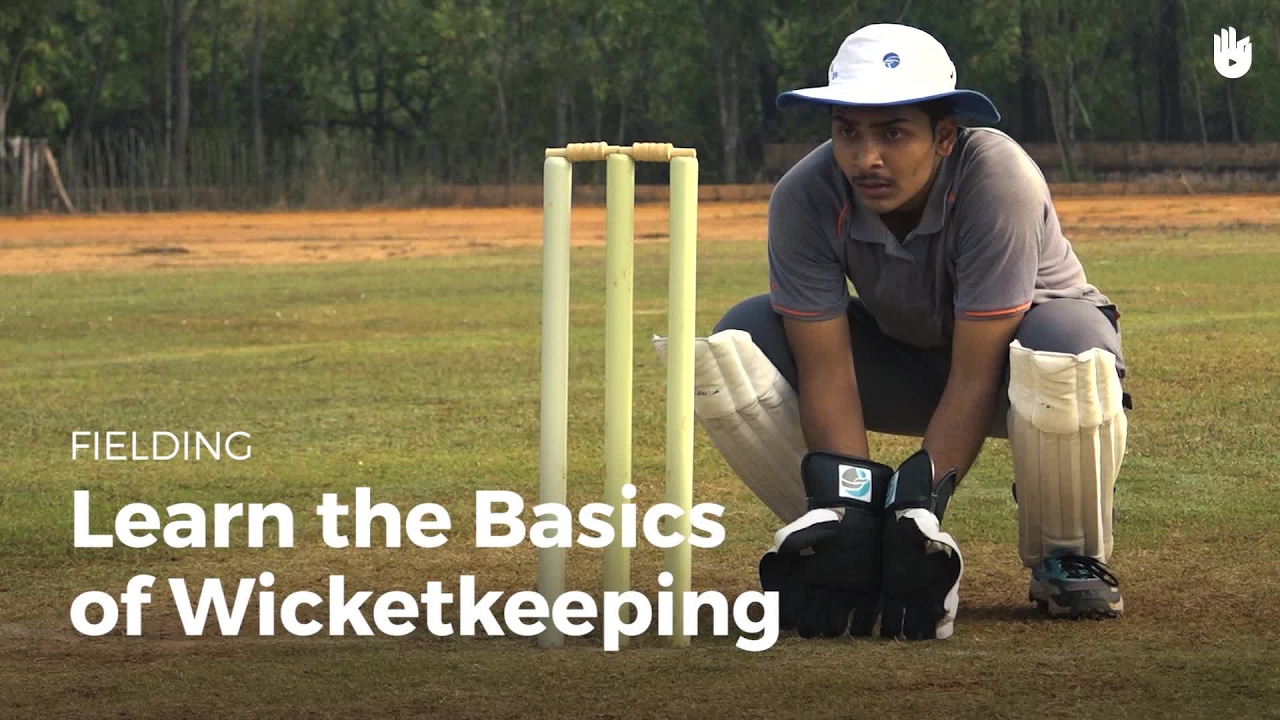 Learn the Basics of Wicketkeeping - How to Play Cricket | Sikana