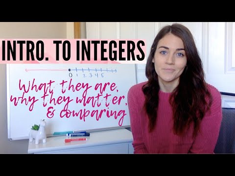Introduction To Integers | What they are, why we care & comparing