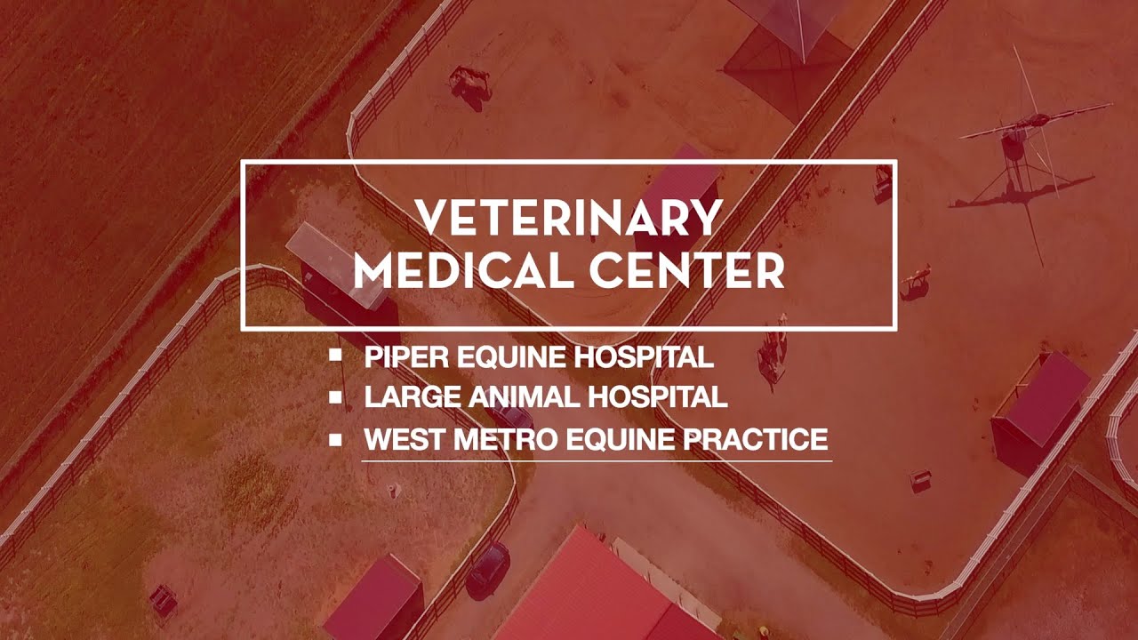 VMC Equine Services Tour