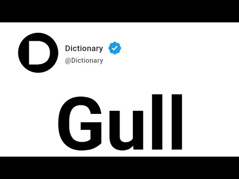 Gull Meaning In English