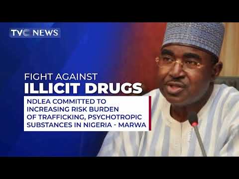 NDLEA Committed to Increasing Risk Burden of Trafficking, Psychotropic Substance in Nigeria - Marwa
