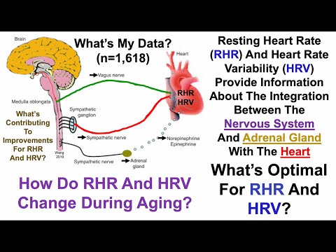 Resting Heart Rate, Heart Rate Variability: What's Optimal, 1600+ Days of Data
