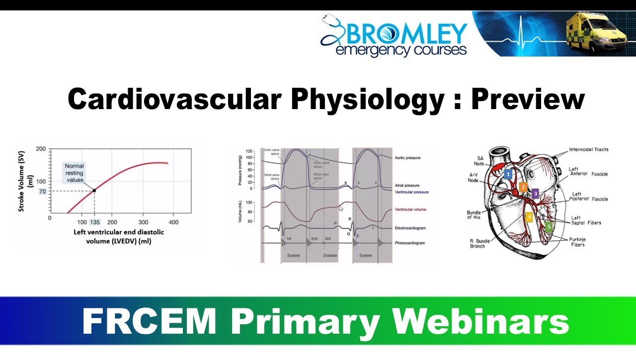 FRCEM Primary Webinar - Cardiovascular Physiology Preview
